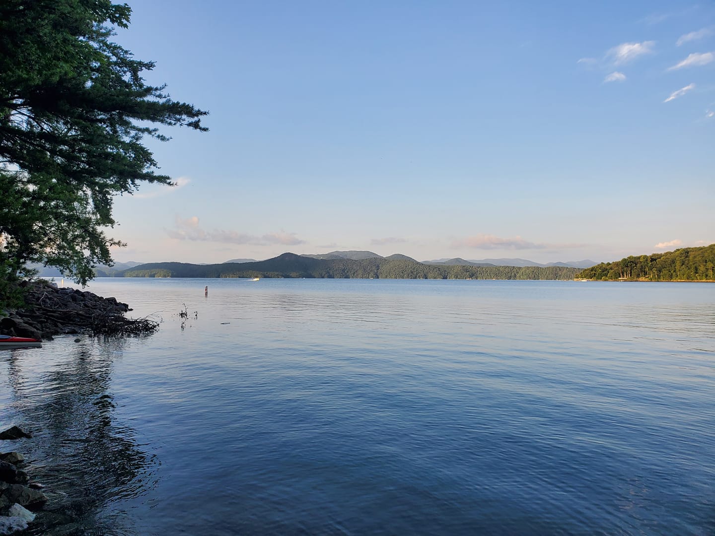 Why do Humans Have Emotions? A Guide for Understanding What Emotions ...